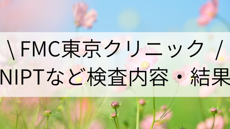 【FMC東京クリニック】NIPT・初期胎児精密超音波検査【受診内容と結果 口コミ】 | 35歳からの不妊治療・体外受精ブログ